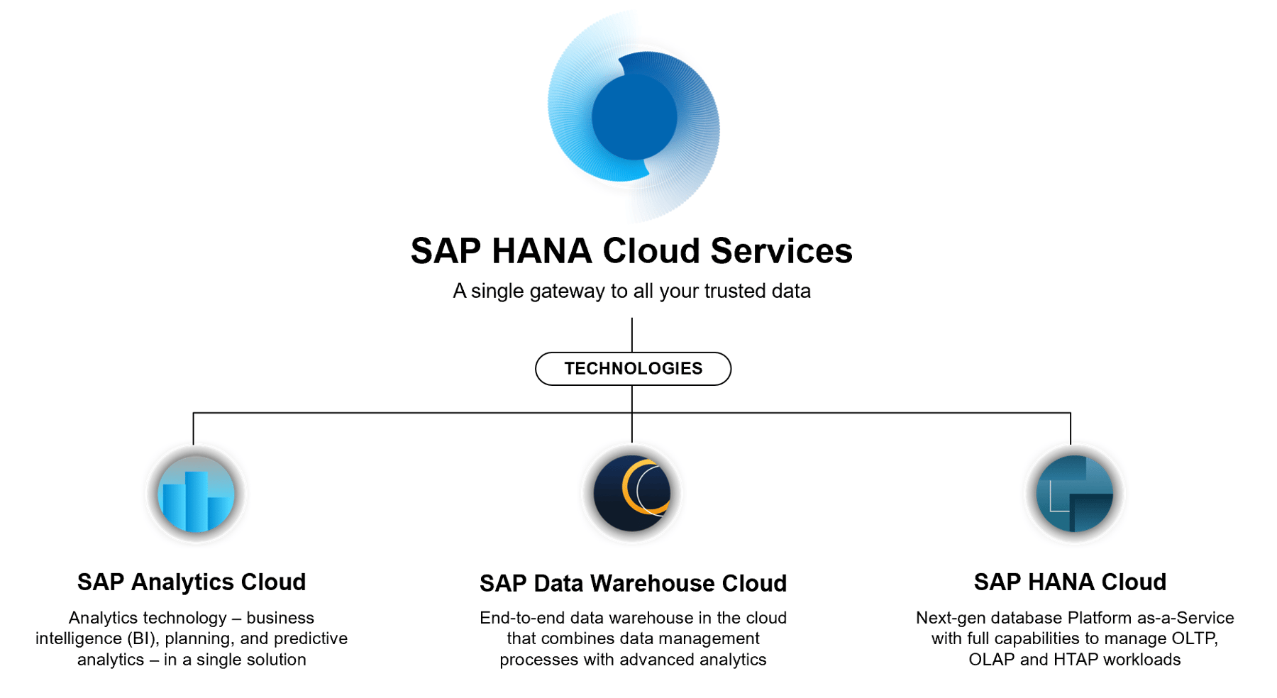 Erste Schritte mit der SAP Data Warehouse Cloud - Erfahrungsbericht